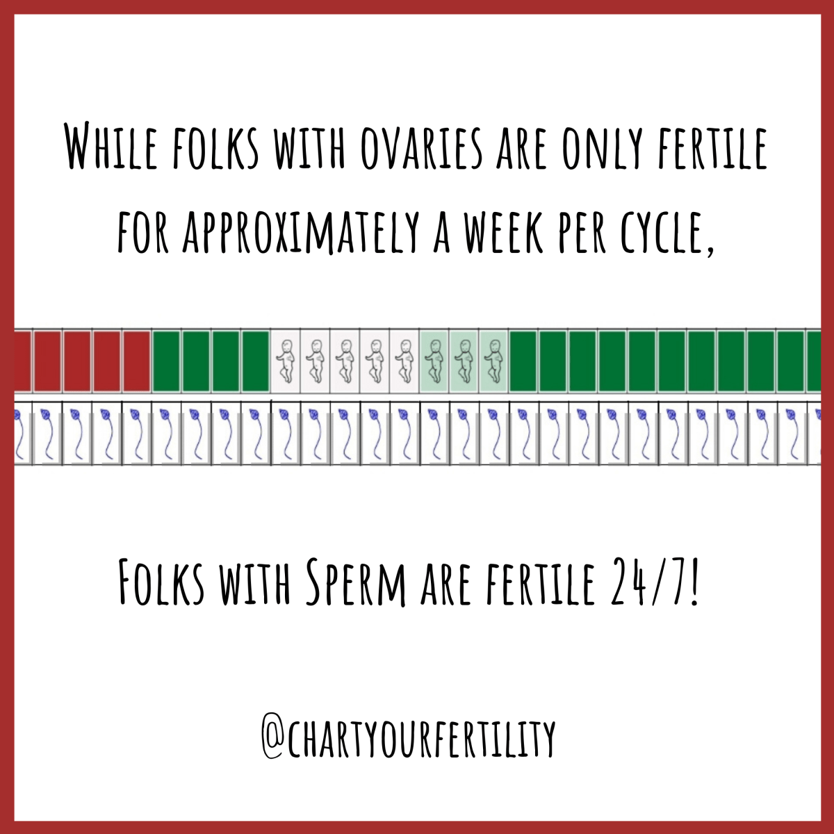 Fertility Awareness For Partners – Common Questions and Answers ...