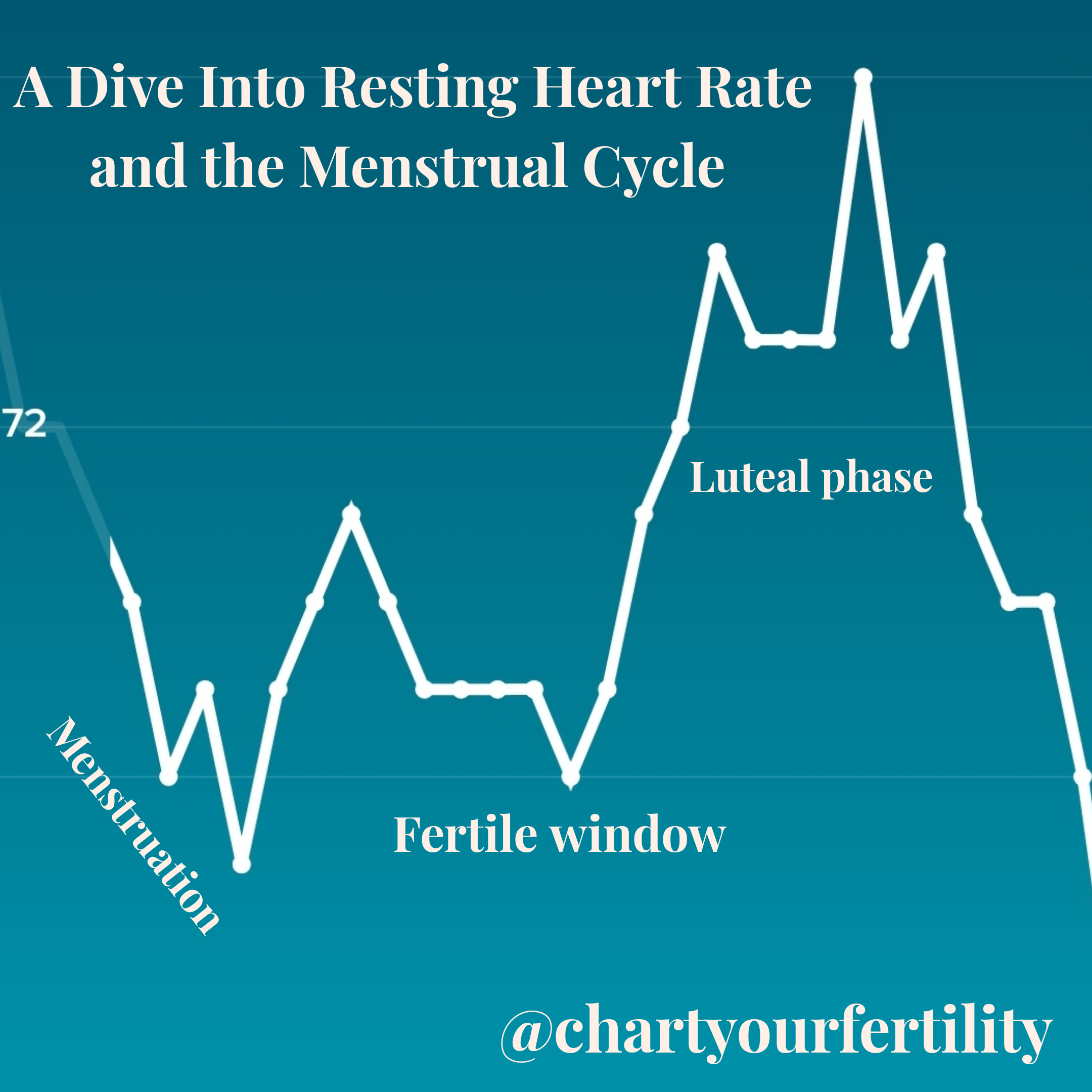 A Dive Into Resting Heart Rate and the Menstrual Cycle – Leslie at ...