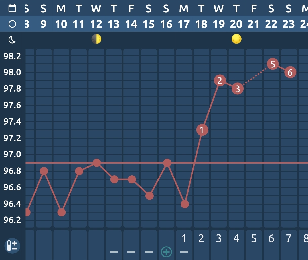 An Honest Review of Oura Ring for Charting Temperature and Cycle ...